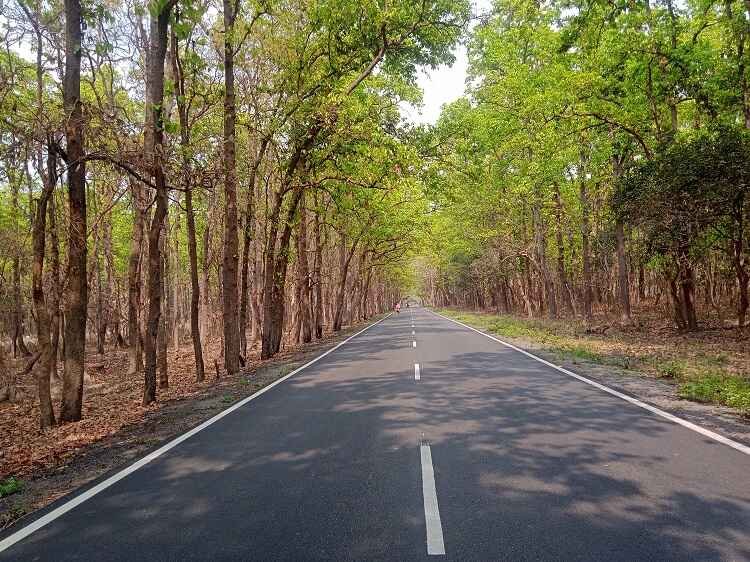 Best Time to Visit Pilibhit Tiger Reserve & Chuka Beach - Ideal Seasons ...